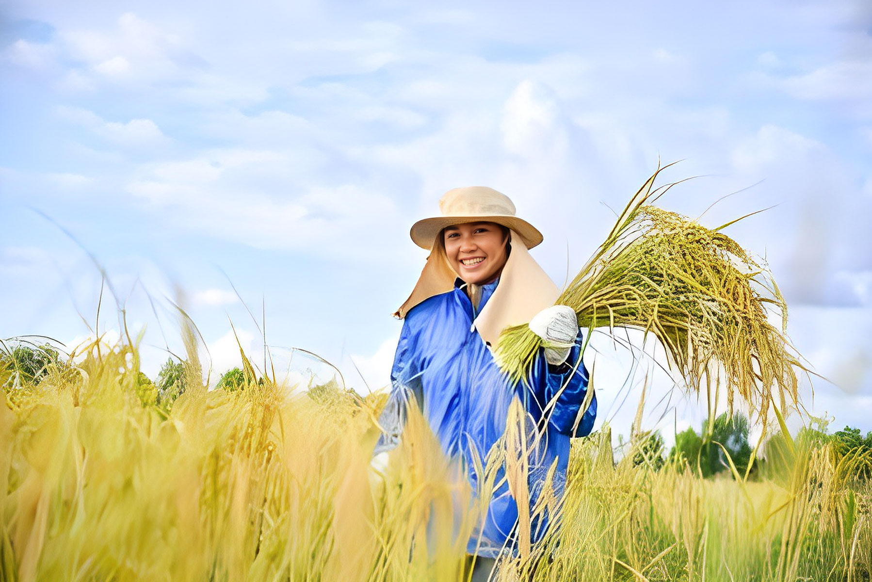 SHRI RAM FOODS COVERS THE WIDEST RANGE OF AUTHENTIC INDIAN RICE ...